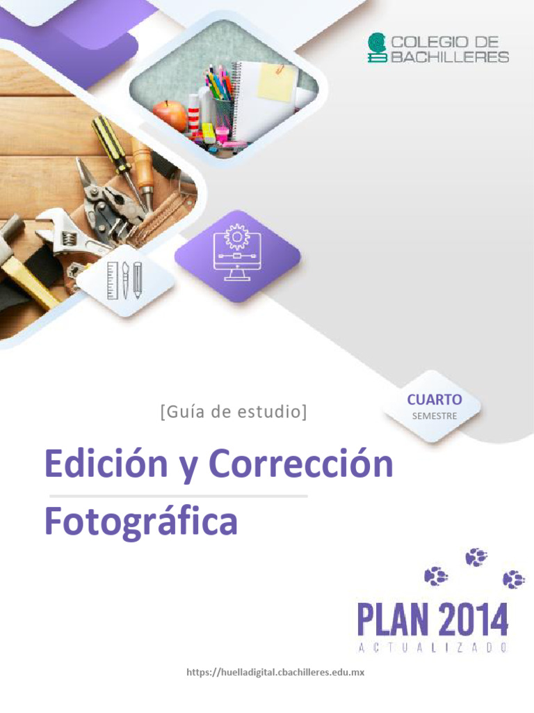 Correcion y Edicion Fotografica | PDF
