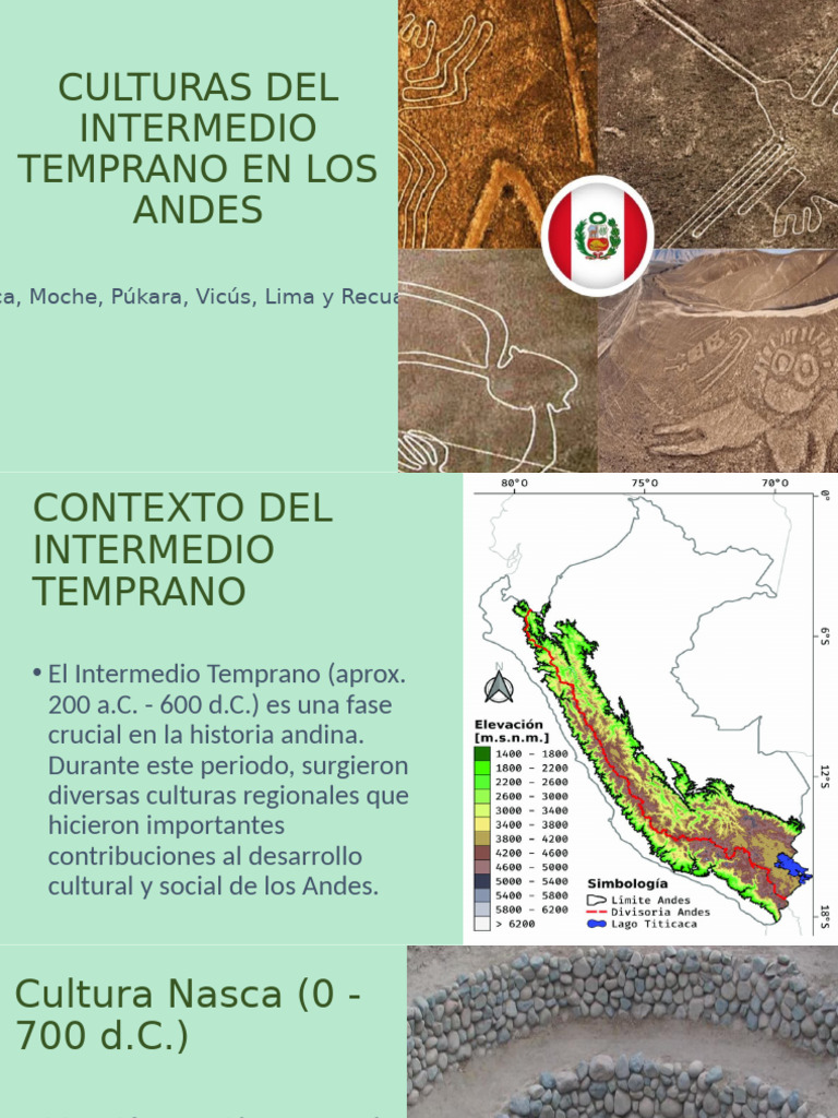 Culturas Del Intermedio Temprano en Los Andes | PDF