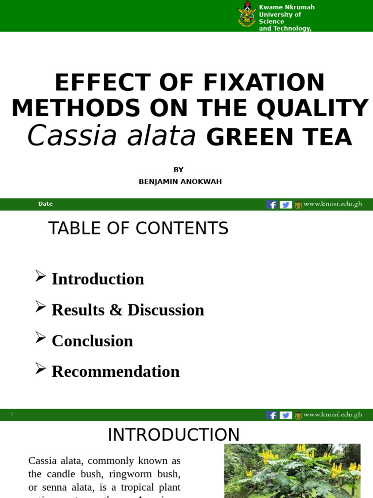 Defence (Cassia) Final | PDF