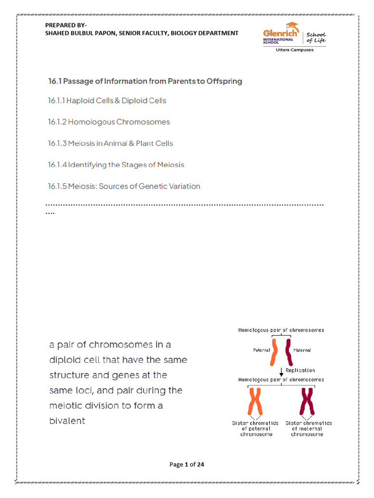 Grade 12 - Inheritance Notes | PDF | Meiosis | Operon