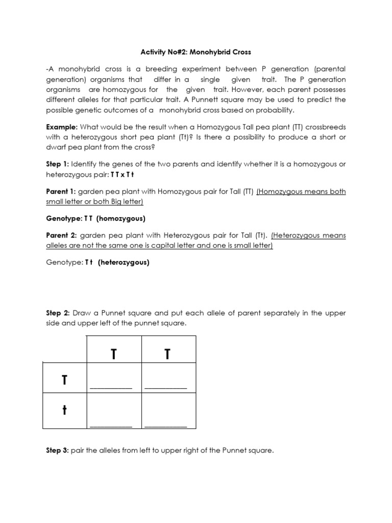 Activity-No-2-Mendelian-genetics | PDF