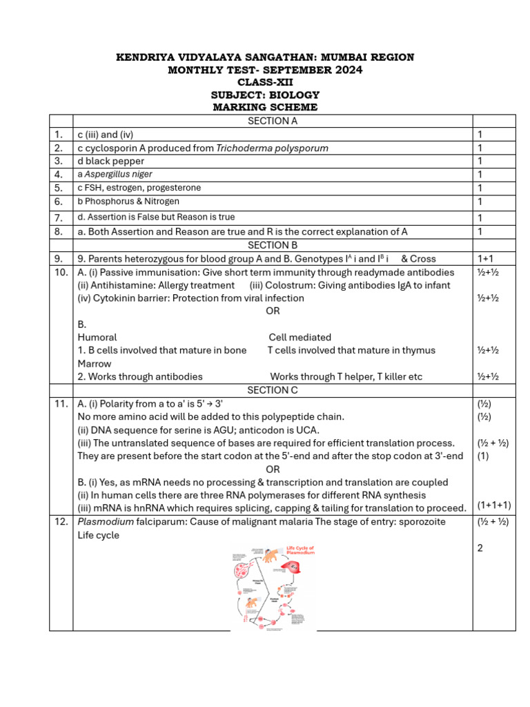 Set 1 Bio Marking Scheme | PDF