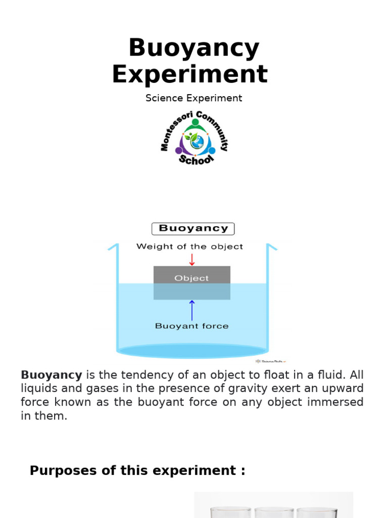 Buoyancy Experiment | PDF | Wellness