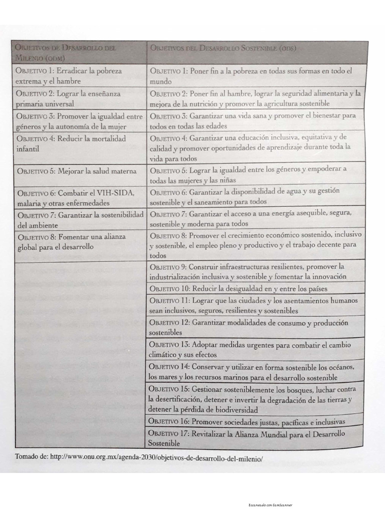 Actividad ODM y ODS (1) | PDF