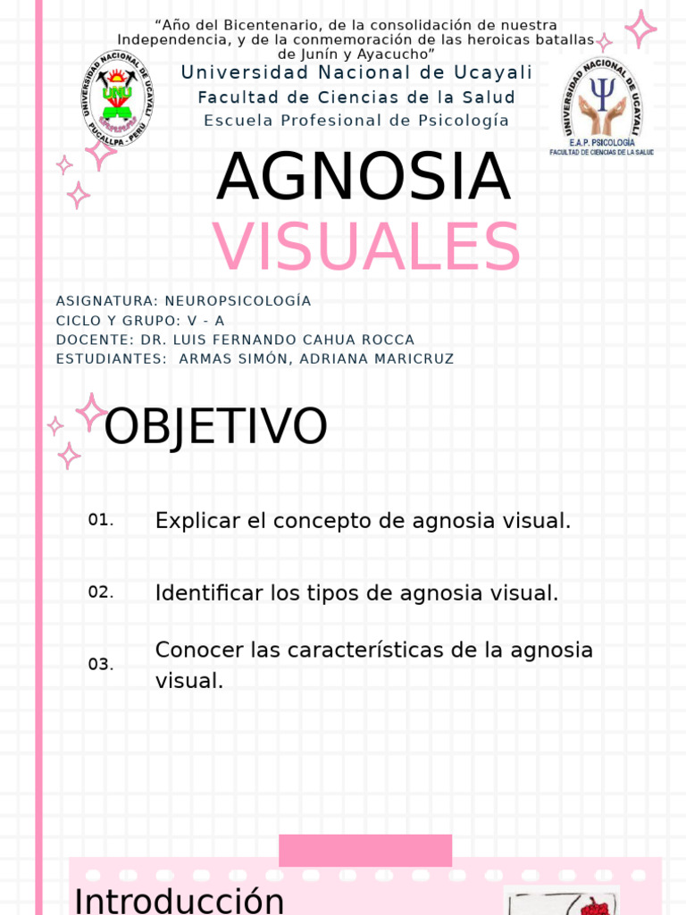 Agnosias Visuales-Adriana Armas | PDF | Cerebro | Procesos mentales