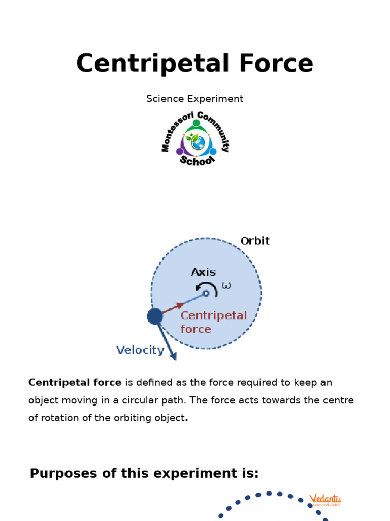 Centripetal Force | PDF