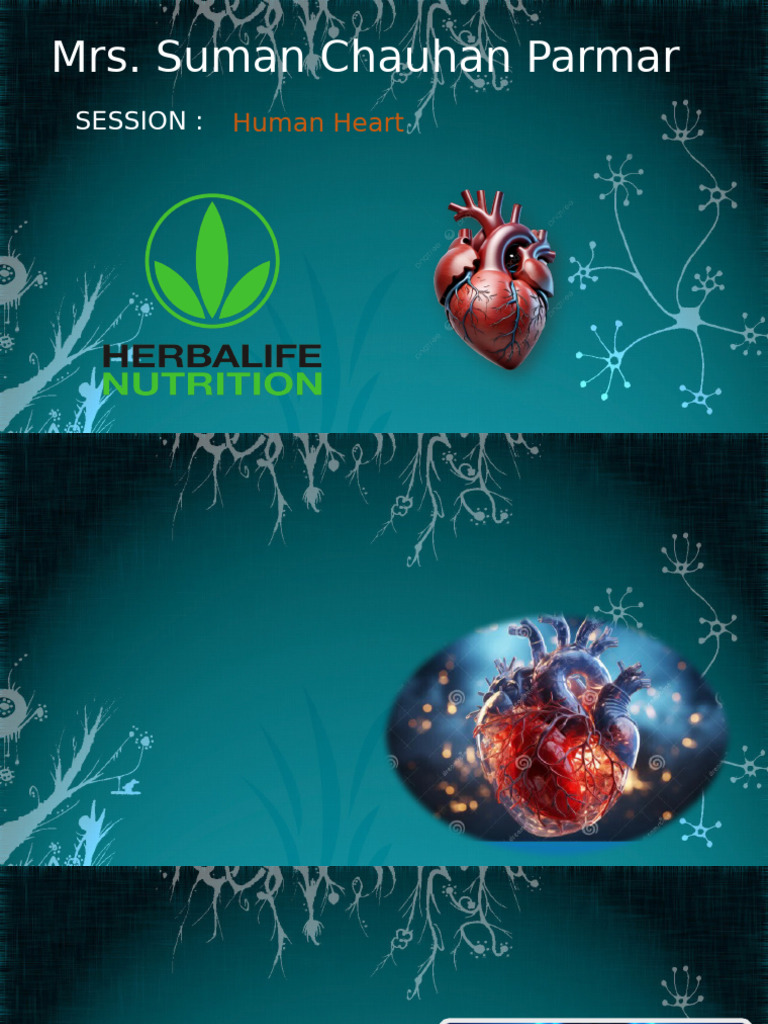 Human Heart | PDF