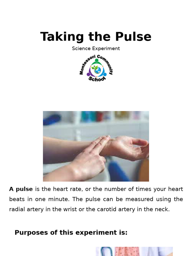 Taking The Pulse | PDF