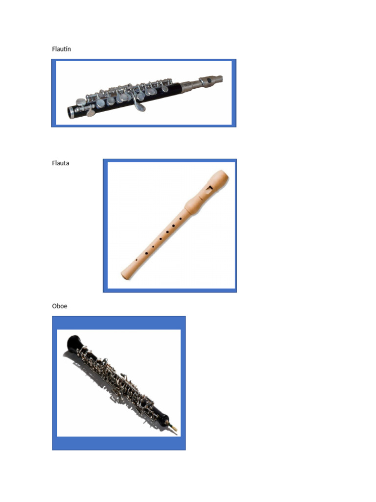 Instrumento Musicales 24 | PDF