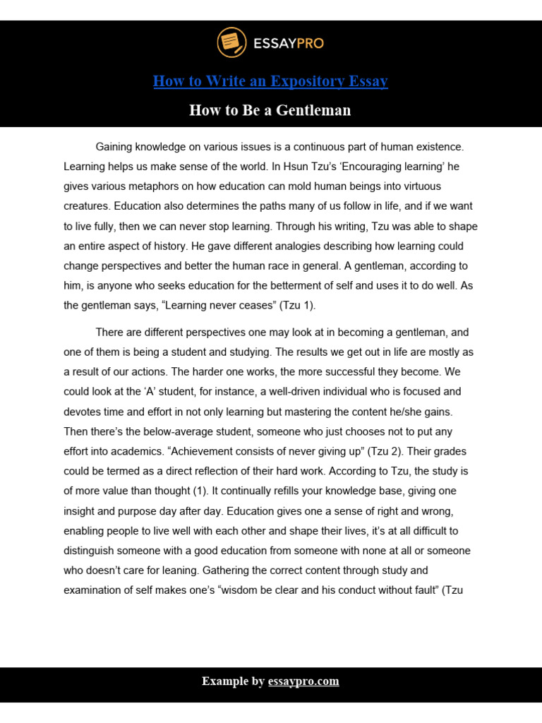 Expository Essay Example | PDF