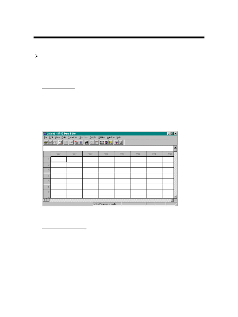 SPSS Basics: Windows and Data Management | PDF | Spss | Computers