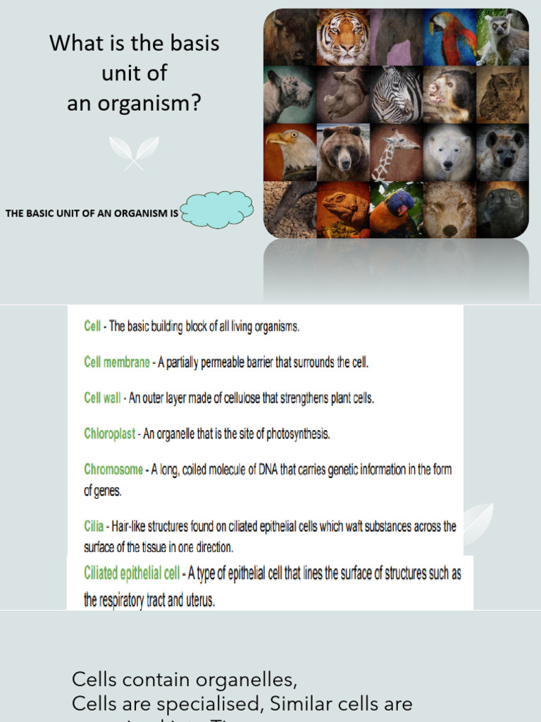 Chapter 1 - Cell structure and function | PDF
