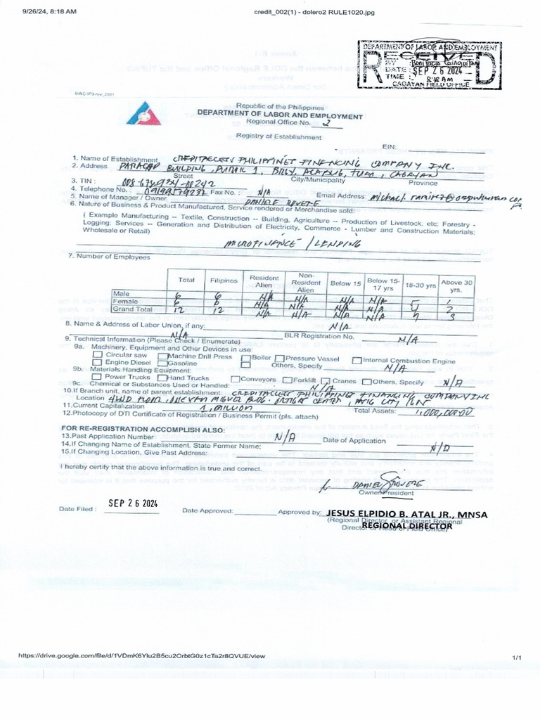 Credit Access Form (2) | PDF