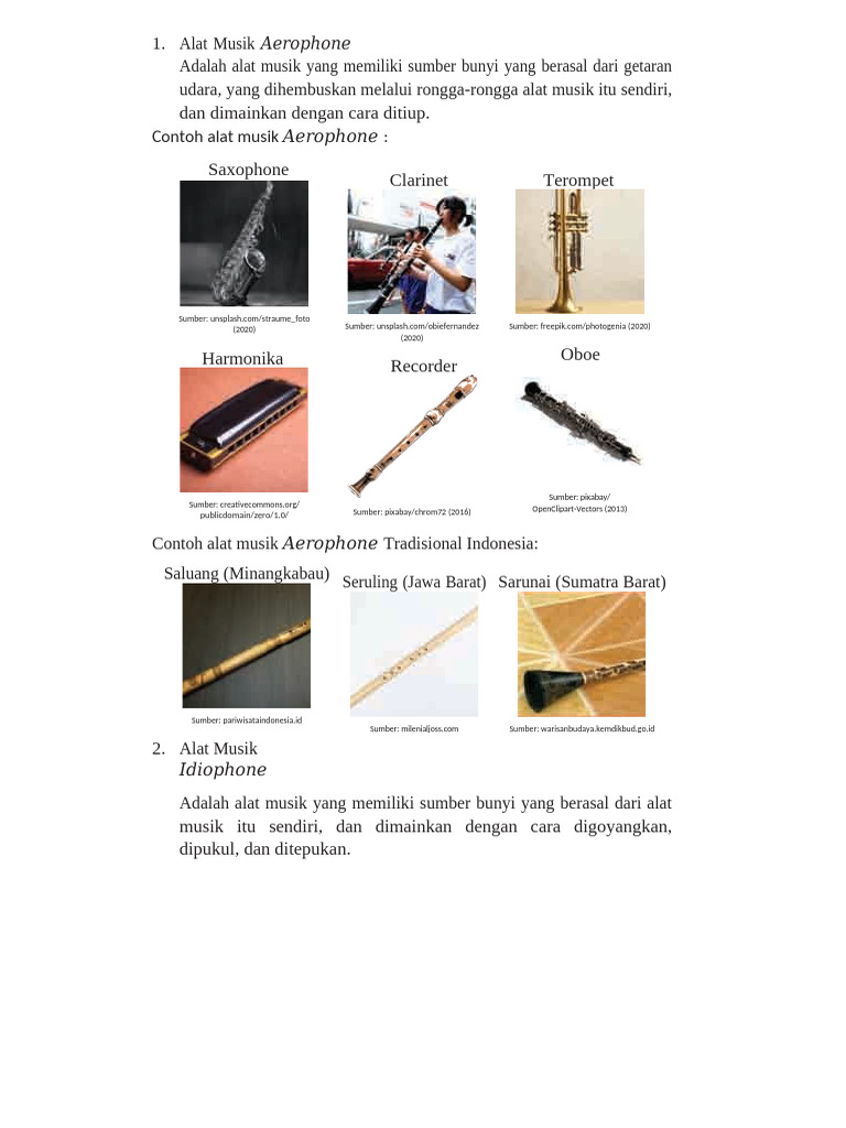 Alat Musik Aerophone | PDF