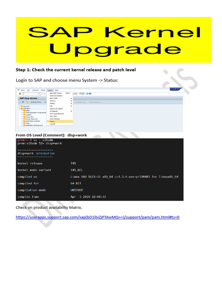 SAP Kernel Upgrade 1725796905 | PDF | Computer File | Computers