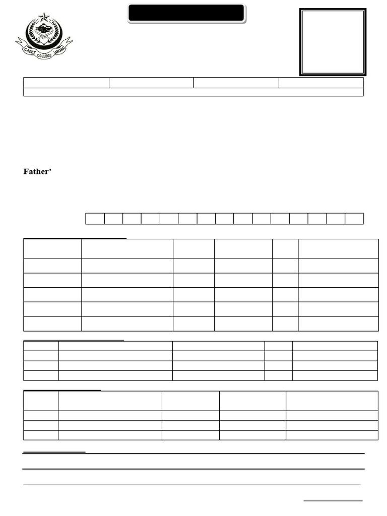 Job Application Form Cadet College Larkana 2 | PDF | Educational Stages ...