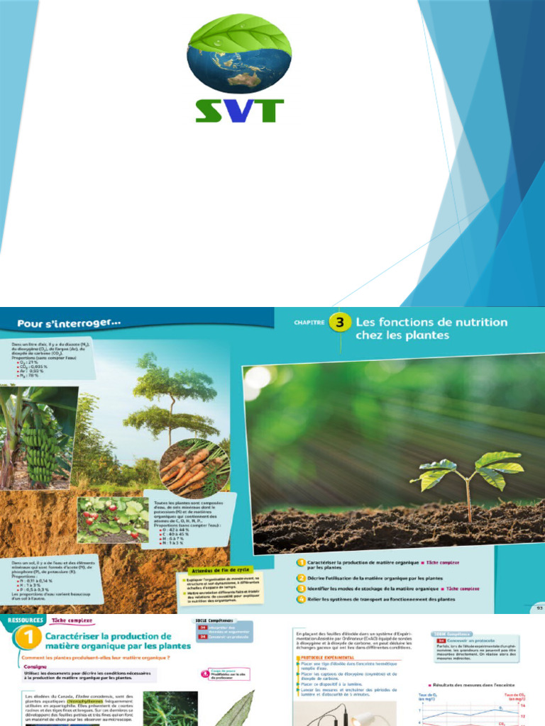 SVT PPT (T2C3) 5ème 1 | PDF