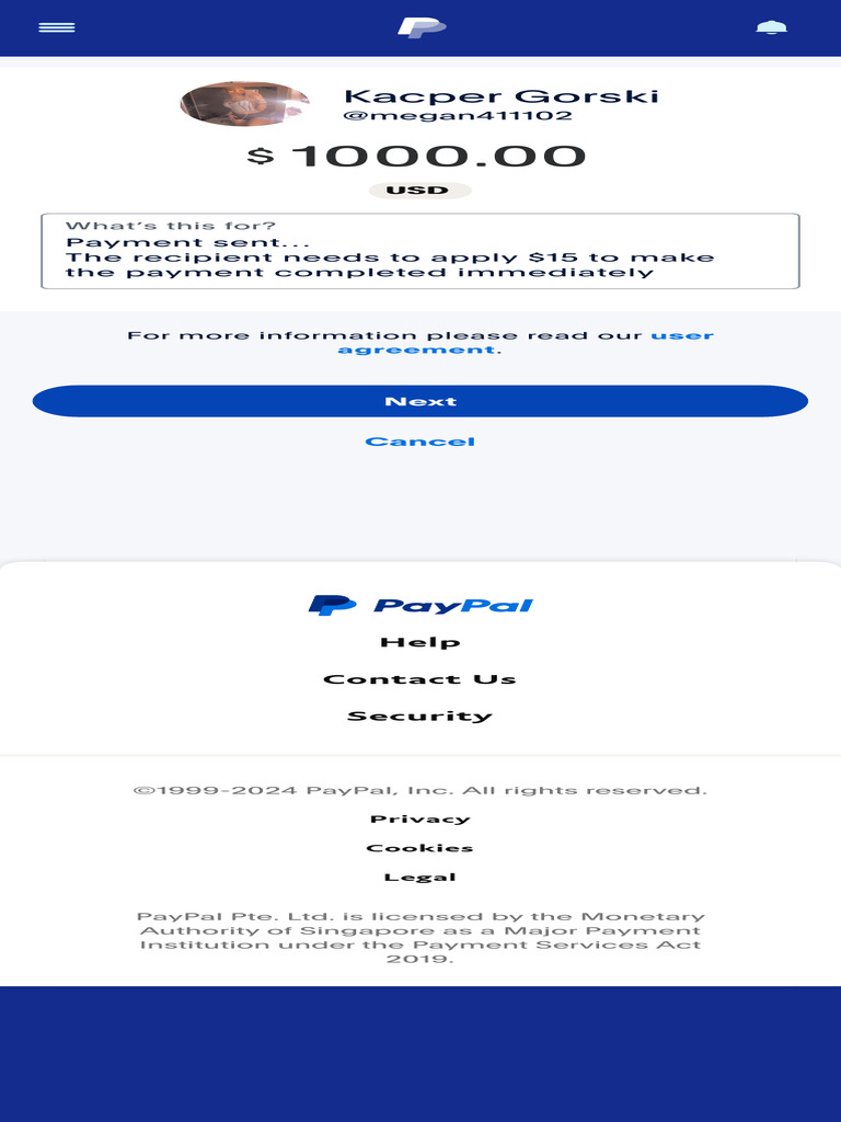PayPal Make A Payment Preview 2 | PDF