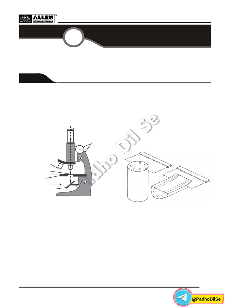 Allen Advance Biology 9th | PDF