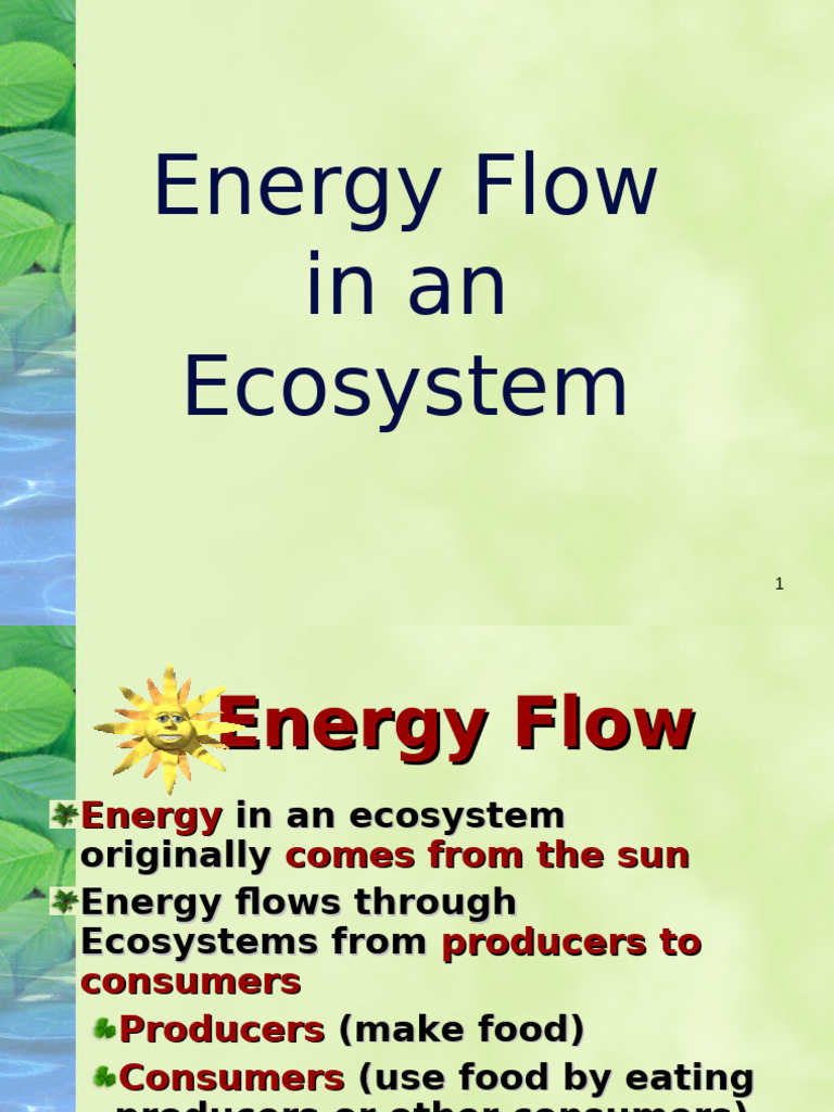Flow of Energy in An Ecosystem | PDF | Food Web | Systems Ecology