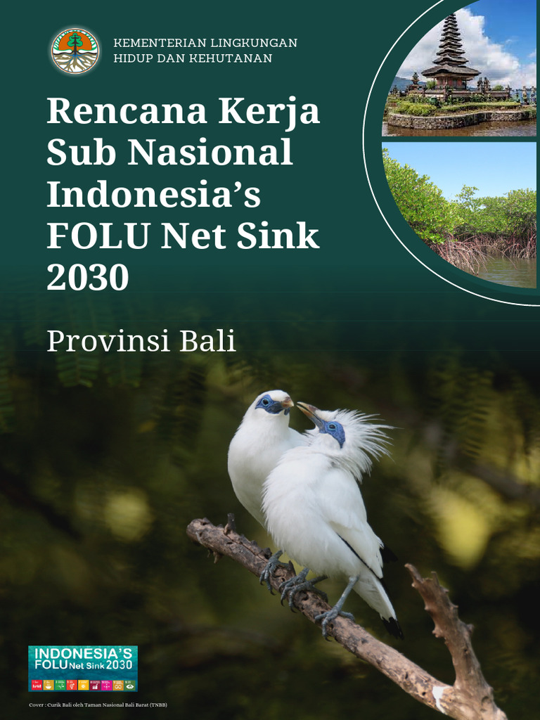 Renja Sub Nasional Indonesias FOLU Net Sink 2030 Bali | PDF