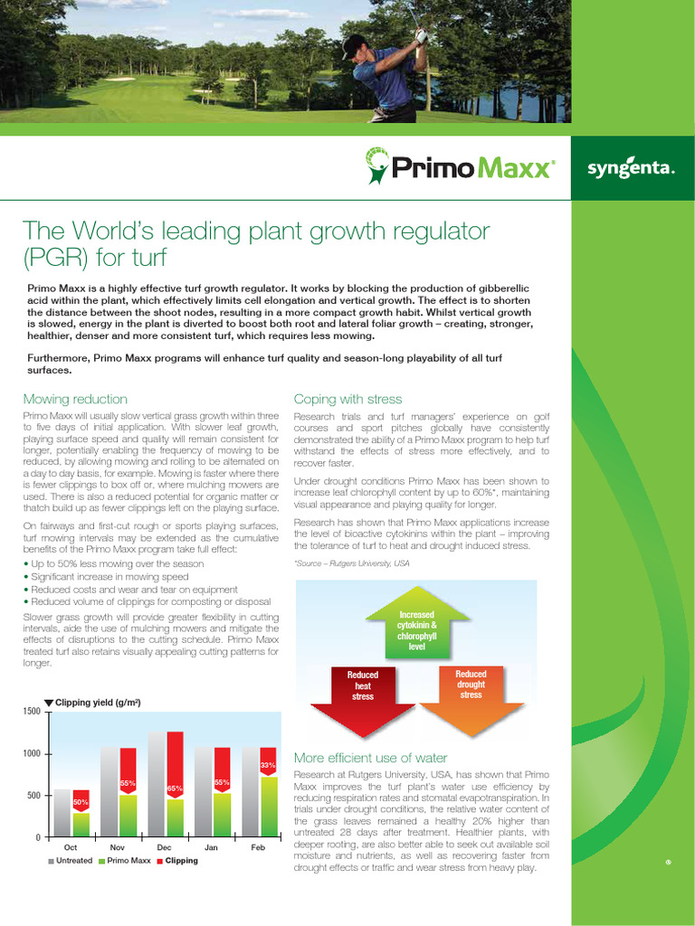 Asean Primomaxx 201802 | PDF