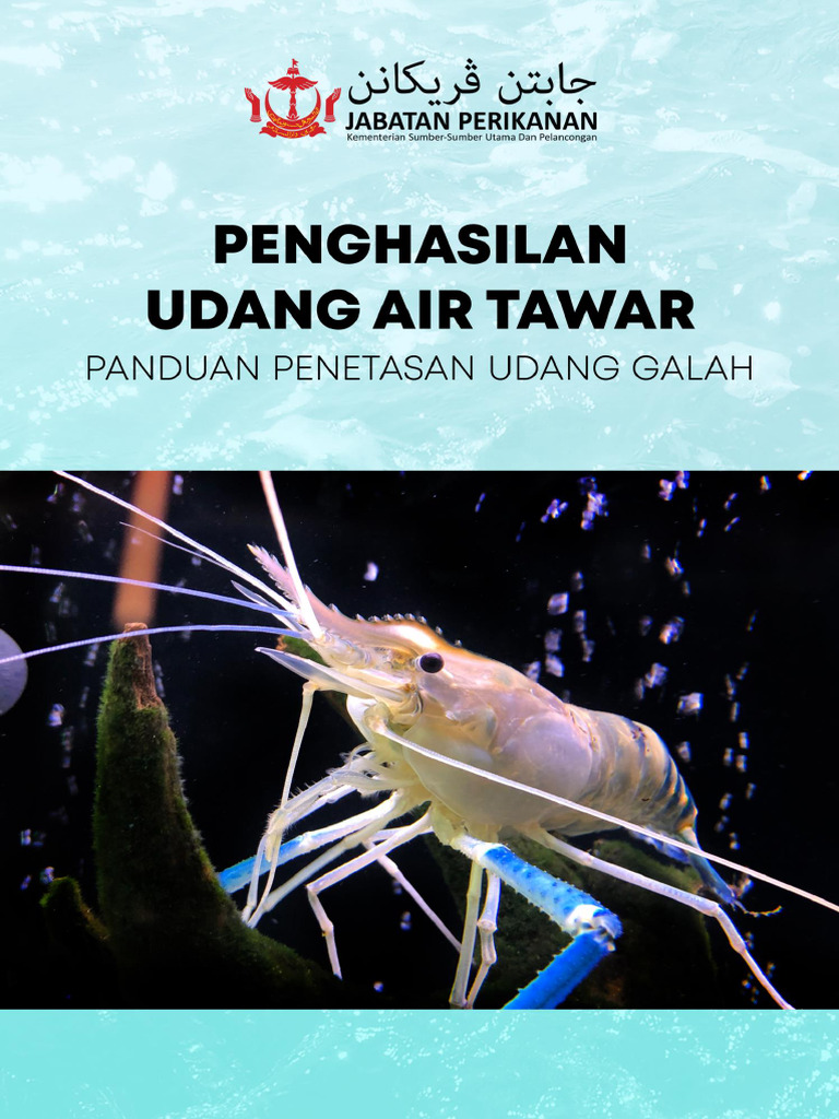 Manual Penetasan Udang Galah - FINAL | PDF