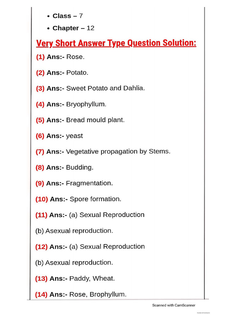 lesson 12 Solution Science(1) | PDF