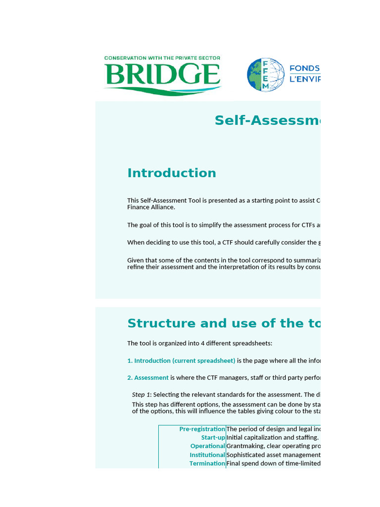 Self Assessment Tool CTFs | PDF | Audit | Policy