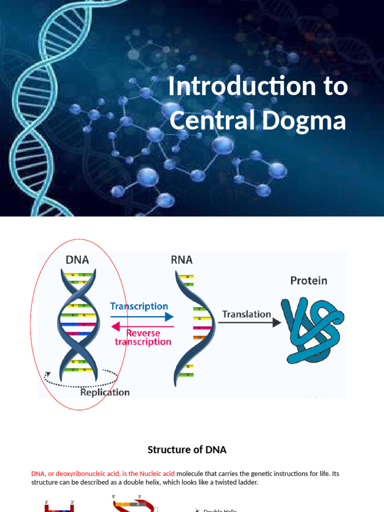 IBS Central Dogma | PDF