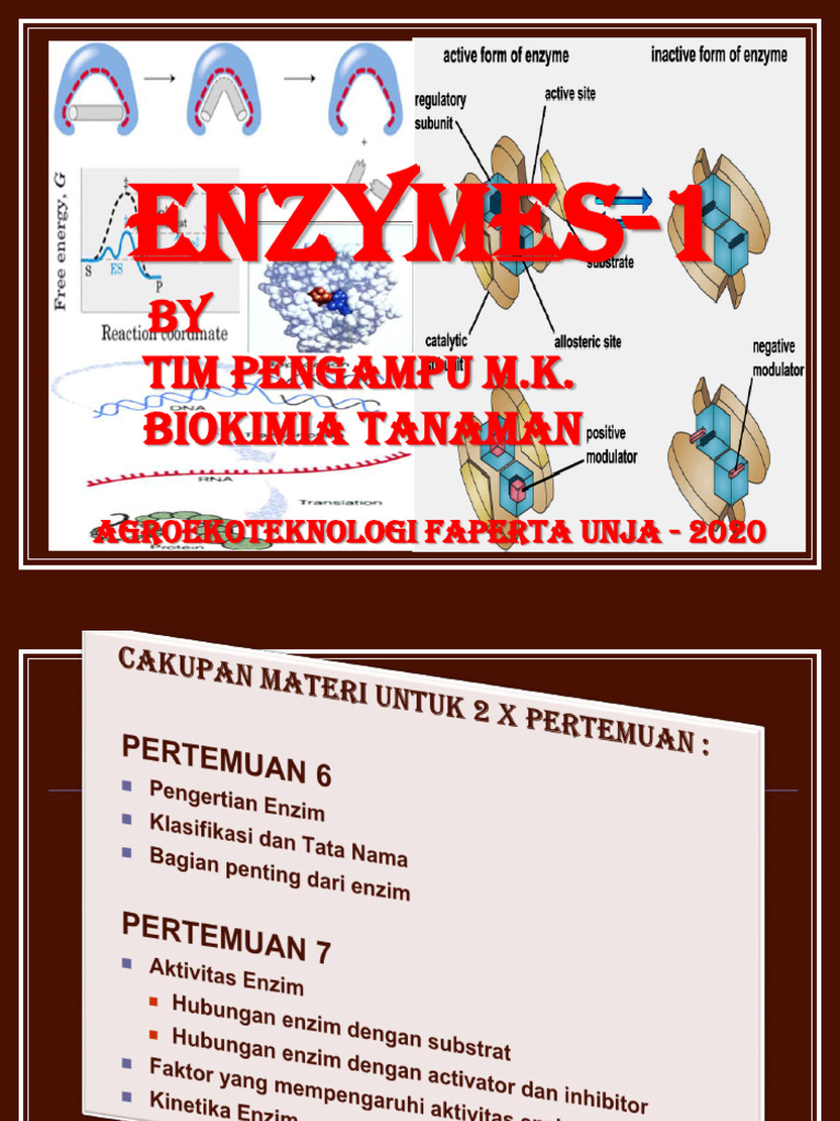 MATERI 6. Enzim - 1 | PDF