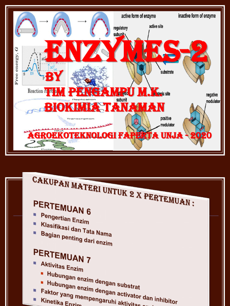 MATERI 7. Enzim - 2 | PDF