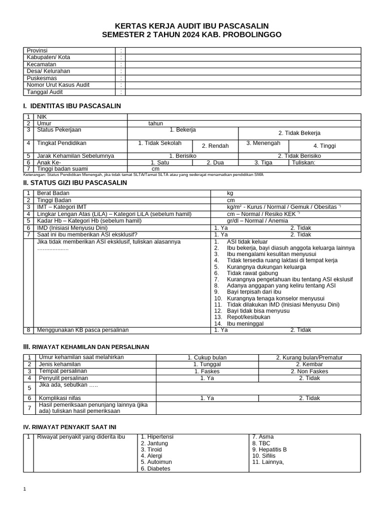 Data Kertas Kerja Audit BUFAS Semester 2 Tahun 2024 | PDF