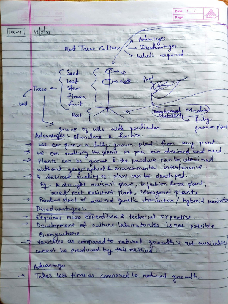 PH441 Sumit Notes Part2 | PDF