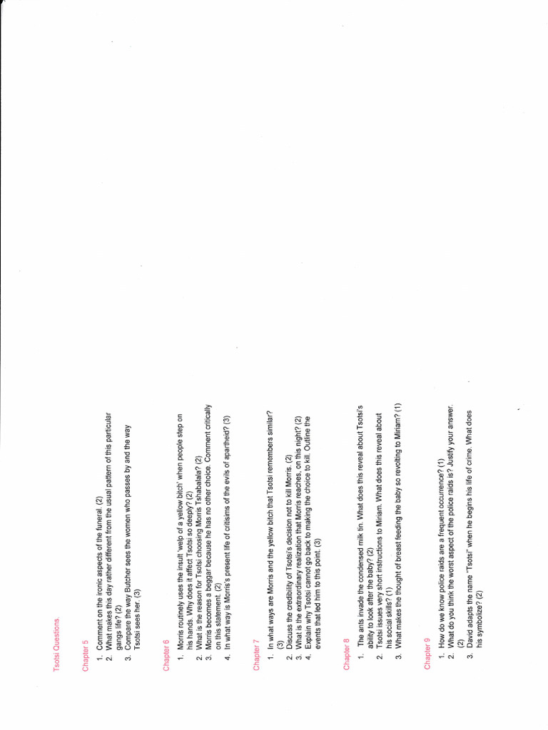 Tsotsi Questions | PDF