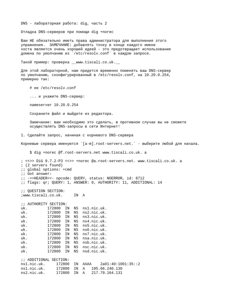 dns-dig-hands-on-2-vRU | PDF