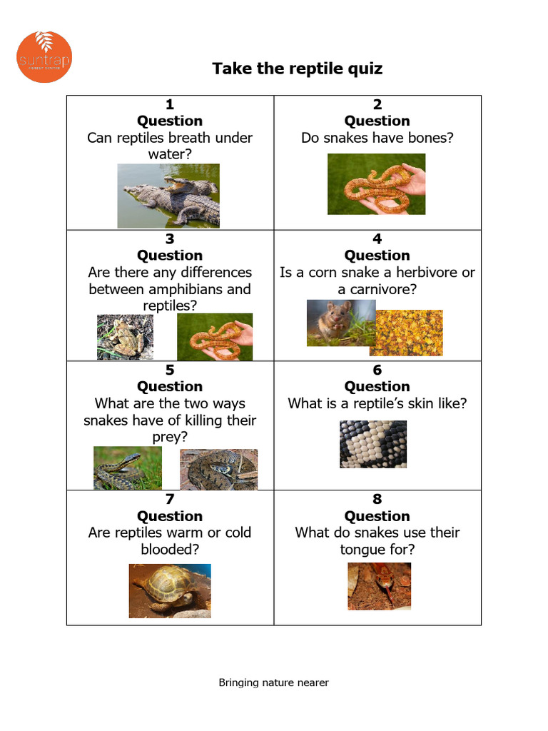 Reptile Quiz: Questions and Answers | PDF | Reptile | Language Arts ...