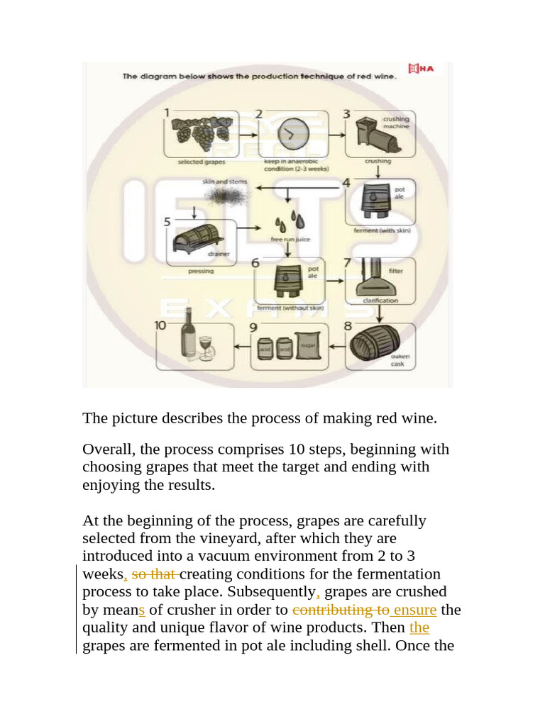 Process of Red Wine | PDF