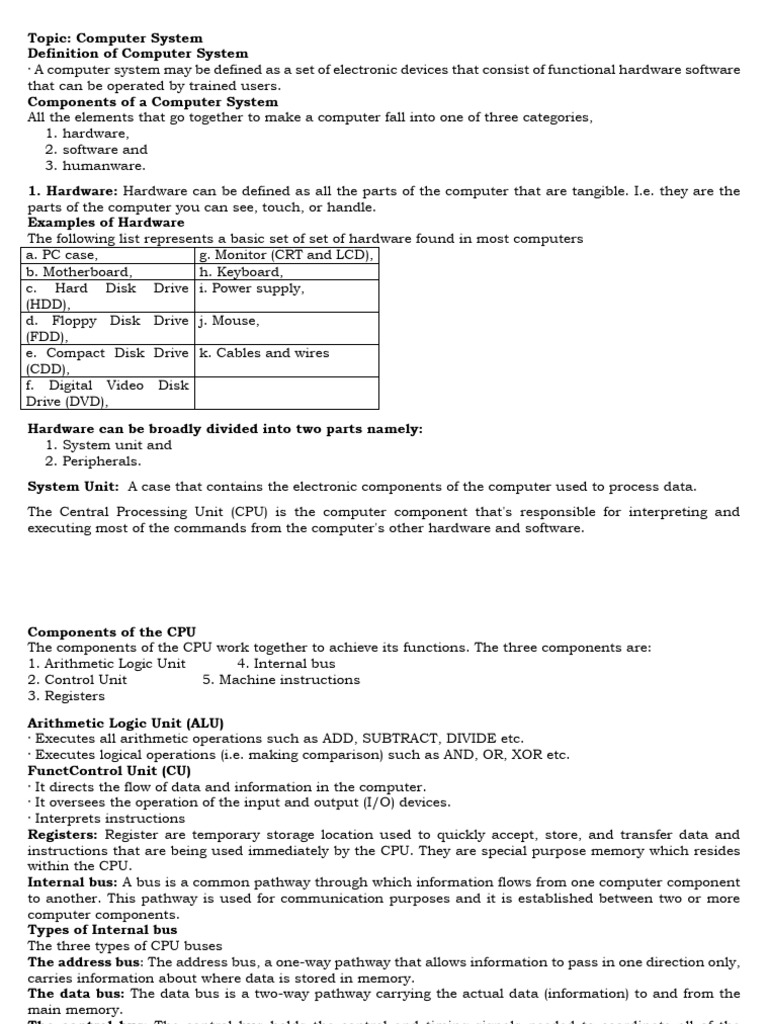 Computer system | PDF