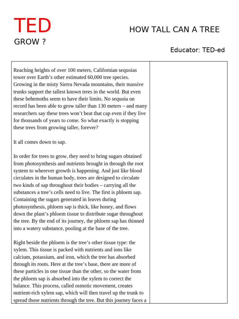 HOW TALL CAN A TREE GROW | PDF
