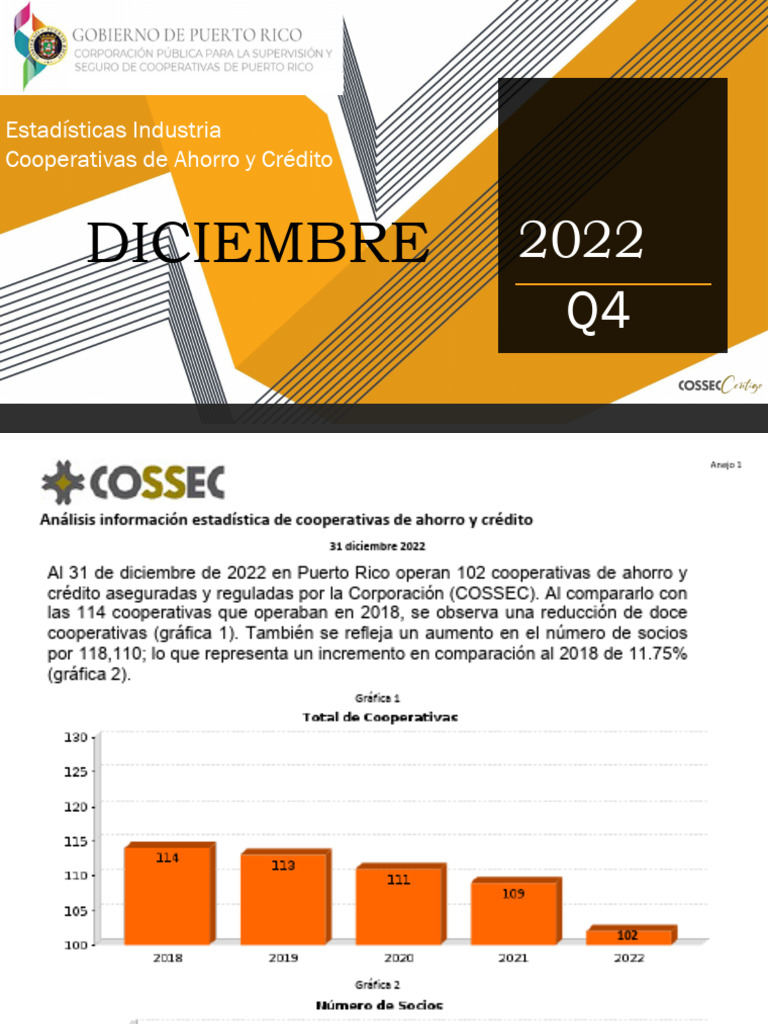 Cossec 2022 Q4 240228 235627 | PDF