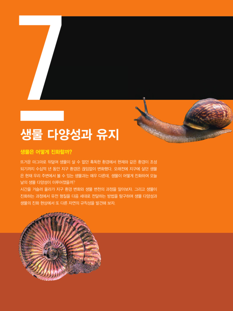 Textbook 7-1 | PDF
