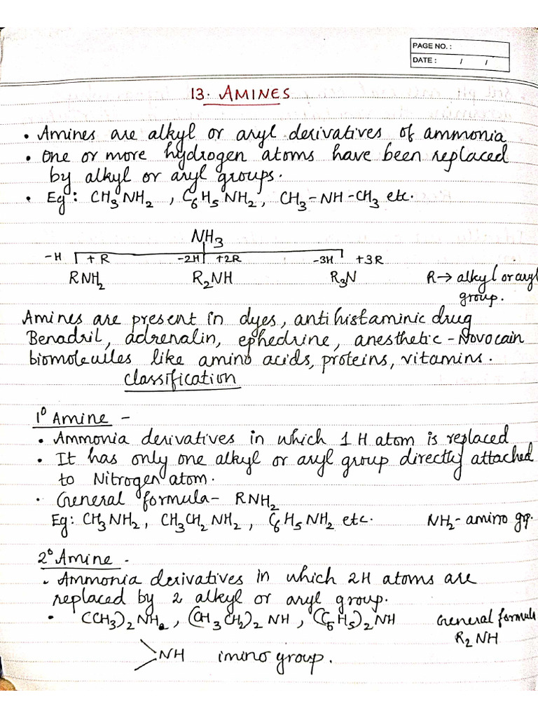 Amines Handwritten Notes Pdf