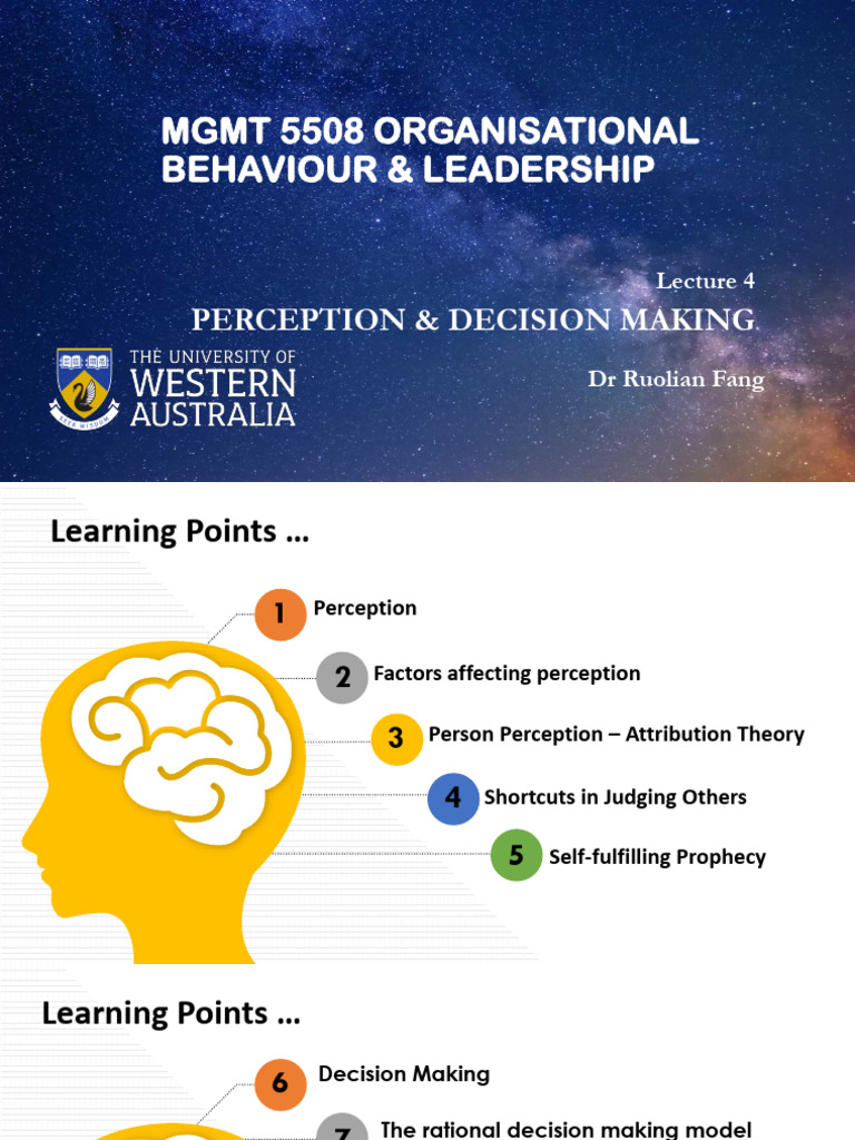 Lecture 4 Perception & Decision Making | PDF