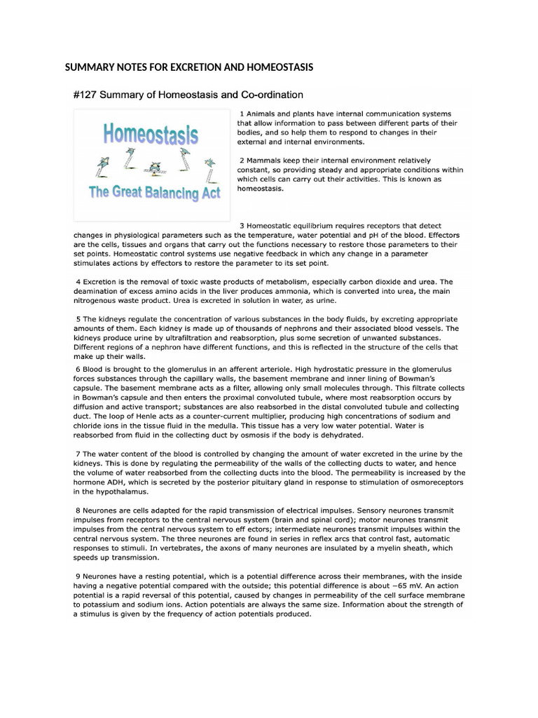 Summary Notes For Excretion and Homeostasis | PDF