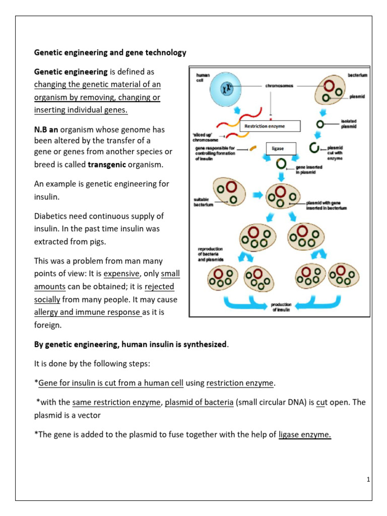 Genetic Engineering and Gene Technology1 | PDF