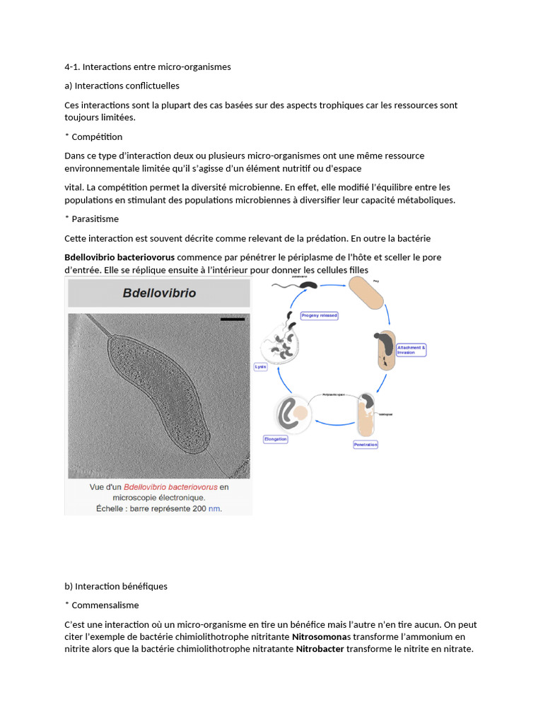 Micro Micro | PDF