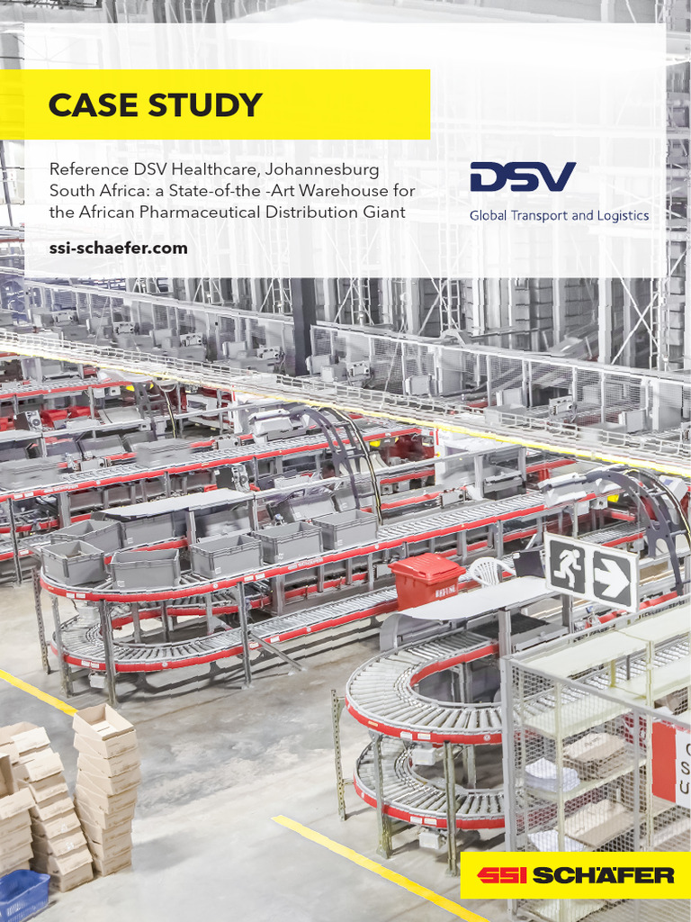 DSV Case Study Data | PDF