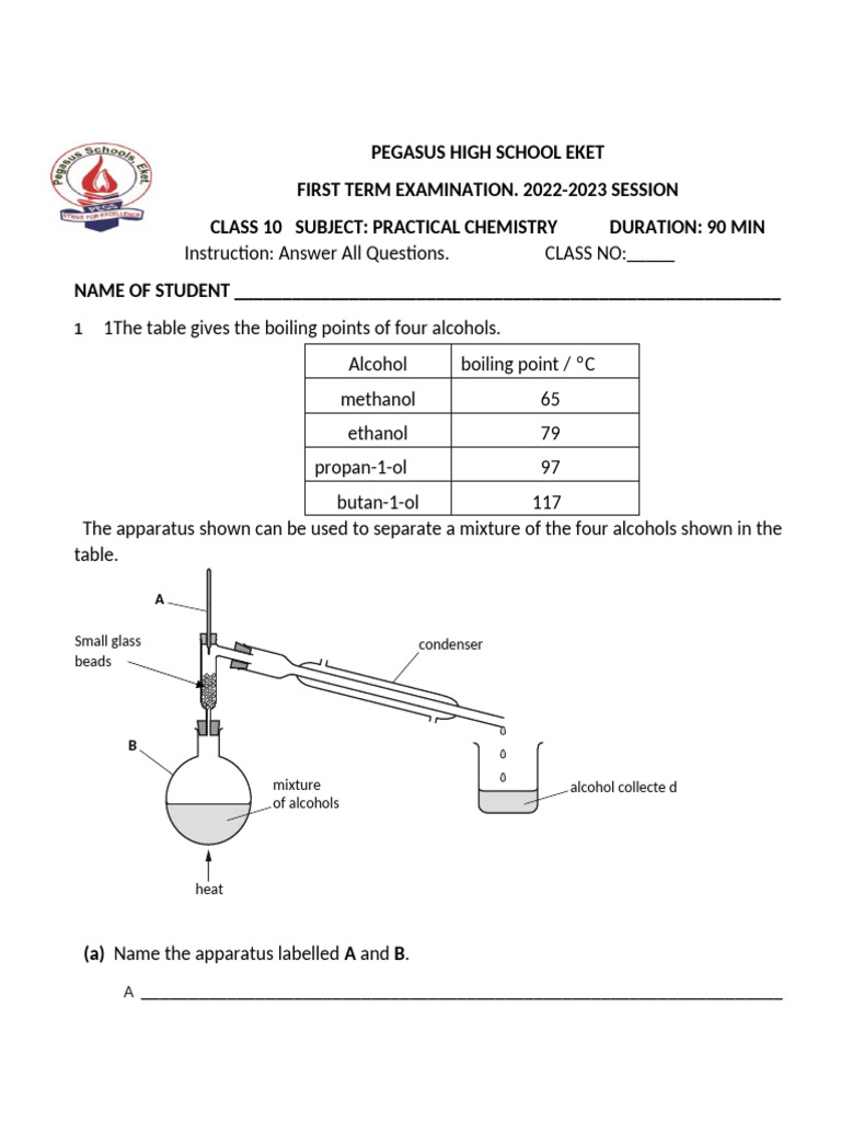 Class 10 Practical | PDF