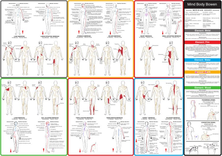 MBB Chart Sept 2017 CORP | PDF | Gastrointestinal Tract | Stomach
